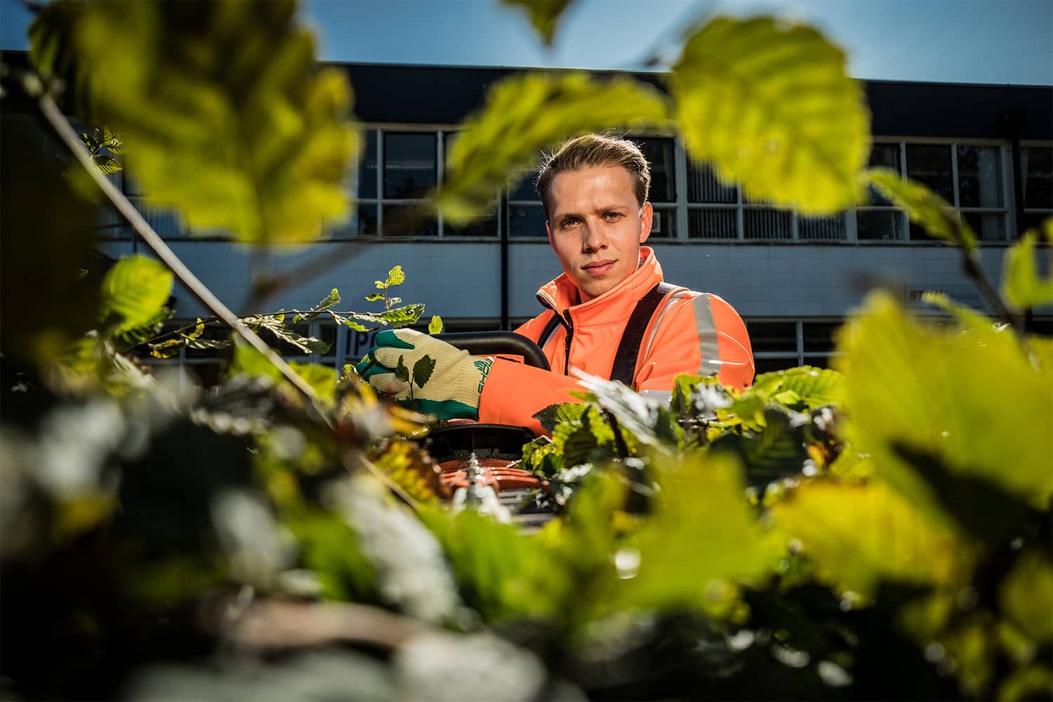 Hovenier onderhoud of hovenier aanleg - Globen